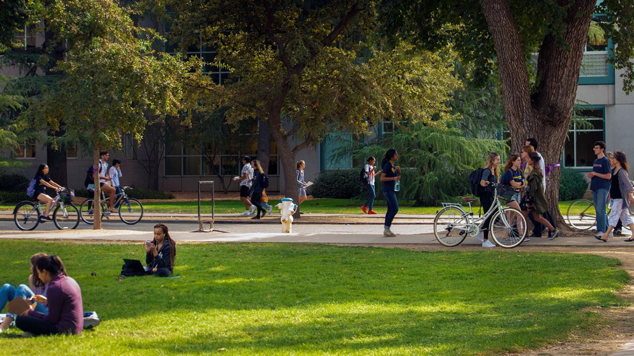 Discover UC Davis | UC Davis